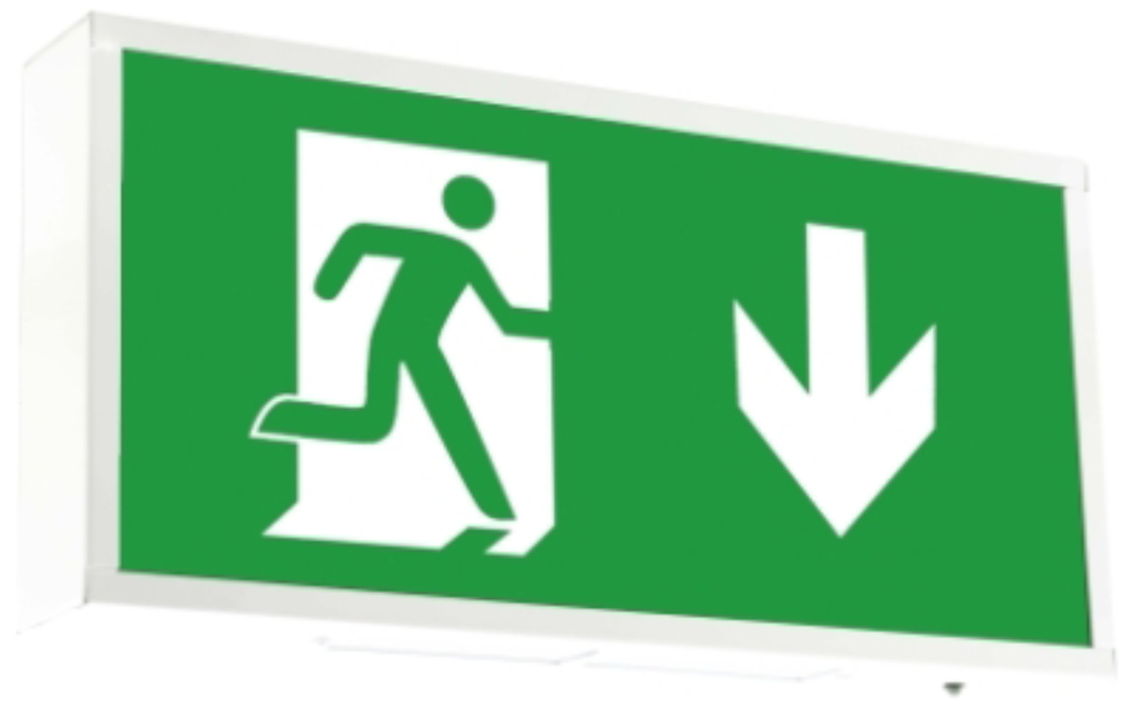 Ansell AG8 L AD Watchman Legend Emergency Exit Sign Arrow Down,- Go Sparky